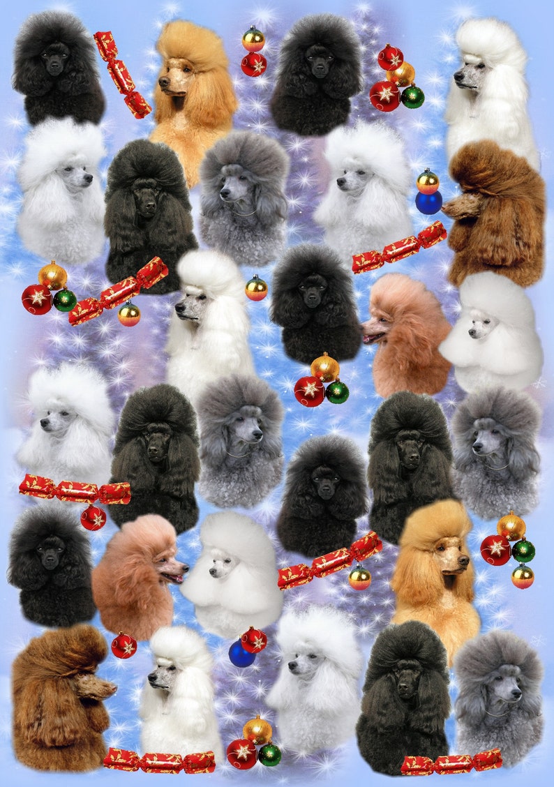 Poodle Dog Christmas Gift Wrapping Paper. One Sheet of Quality - Etsy UK