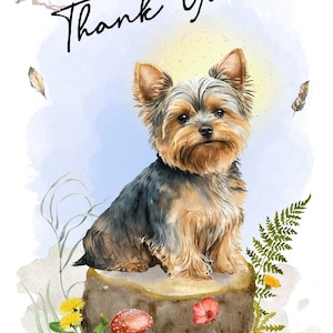 Yorkshire Terrier / Yorkie Dog "thank You" Card (6" X 4") With Envelope ...