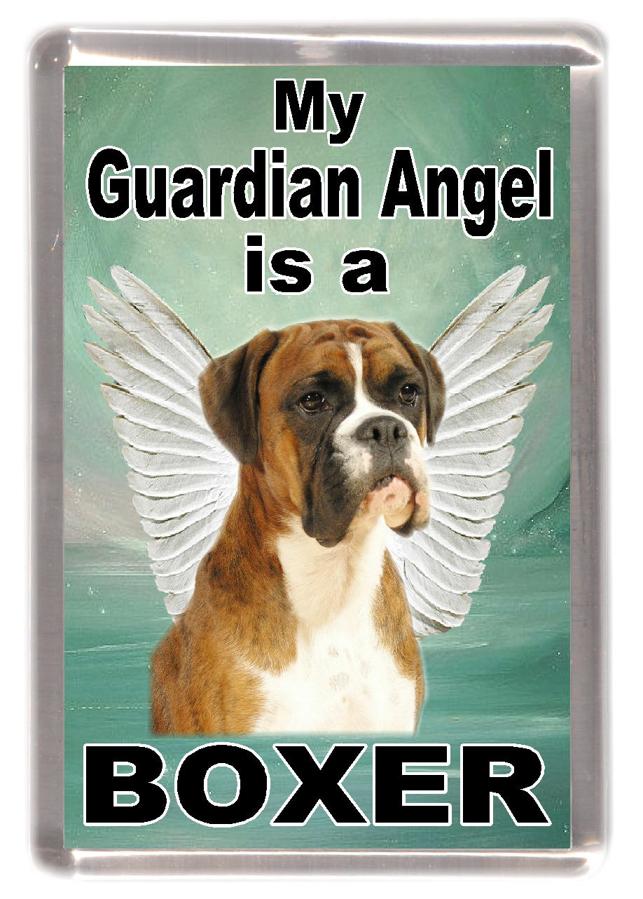 Boxer Dog Fridge Magnet "my Guardian Angel is a Boxer". Great Gift for ...