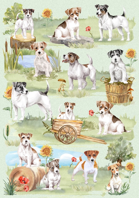 Jack Russell Terrier Dog Gift Wrapping Paper One Sheet of | Etsy