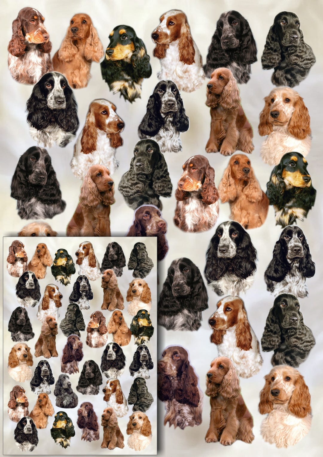 Cocker Spaniel Dog Gift Wrapping Paper With Matching Gift Card - Etsy