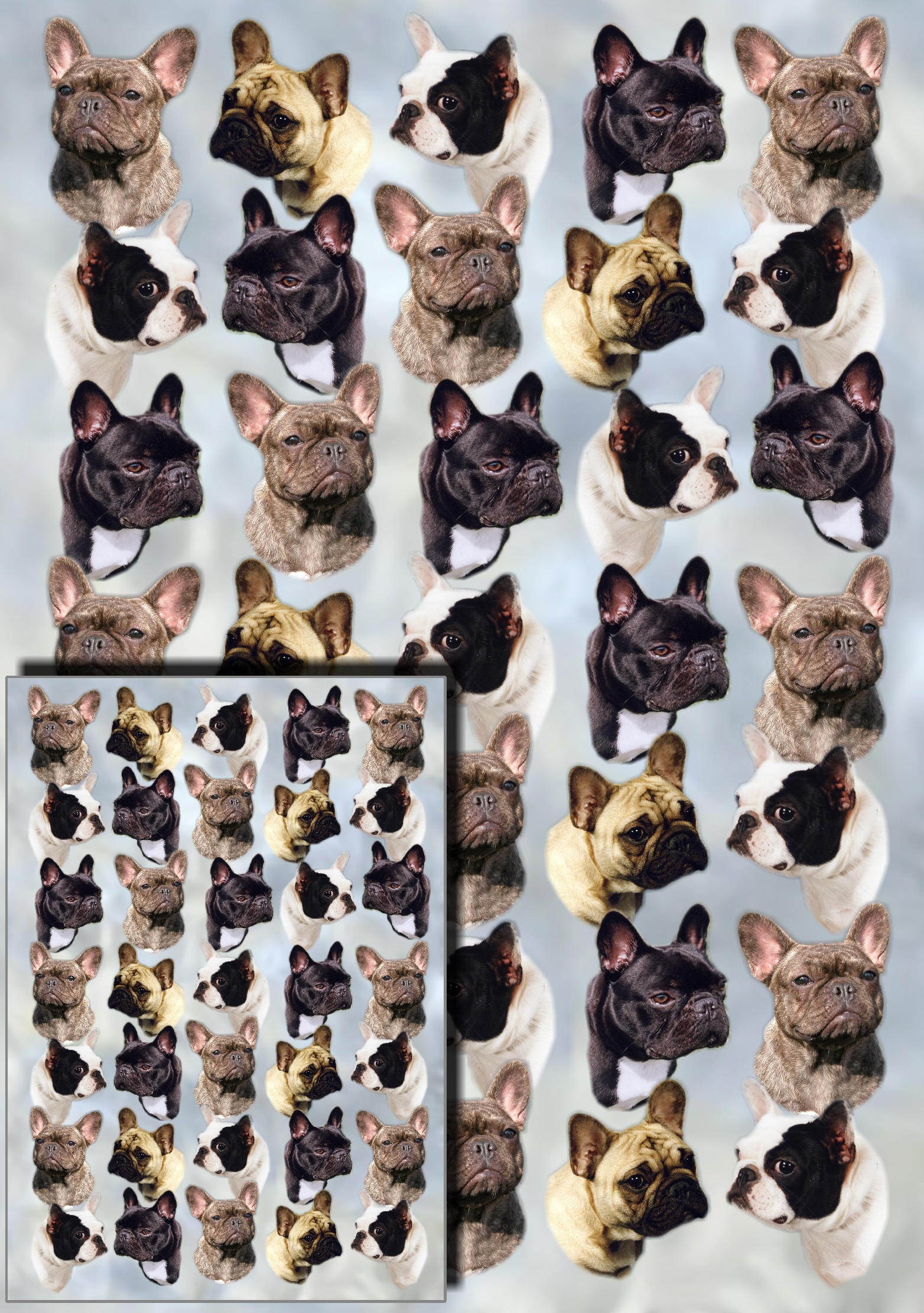 French Bulldog Gift Wrapping Paper With Matching Gift Card - Etsy UK