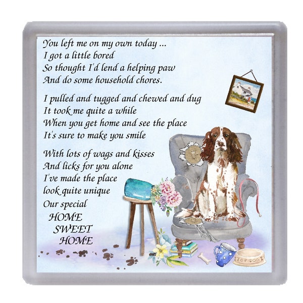 English Springer - Etsy