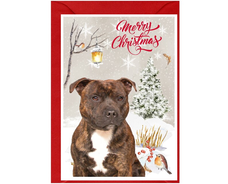 Staffordshire Bull Terrier Dog Christmas Card (6" X 4") Blank Inside ...
