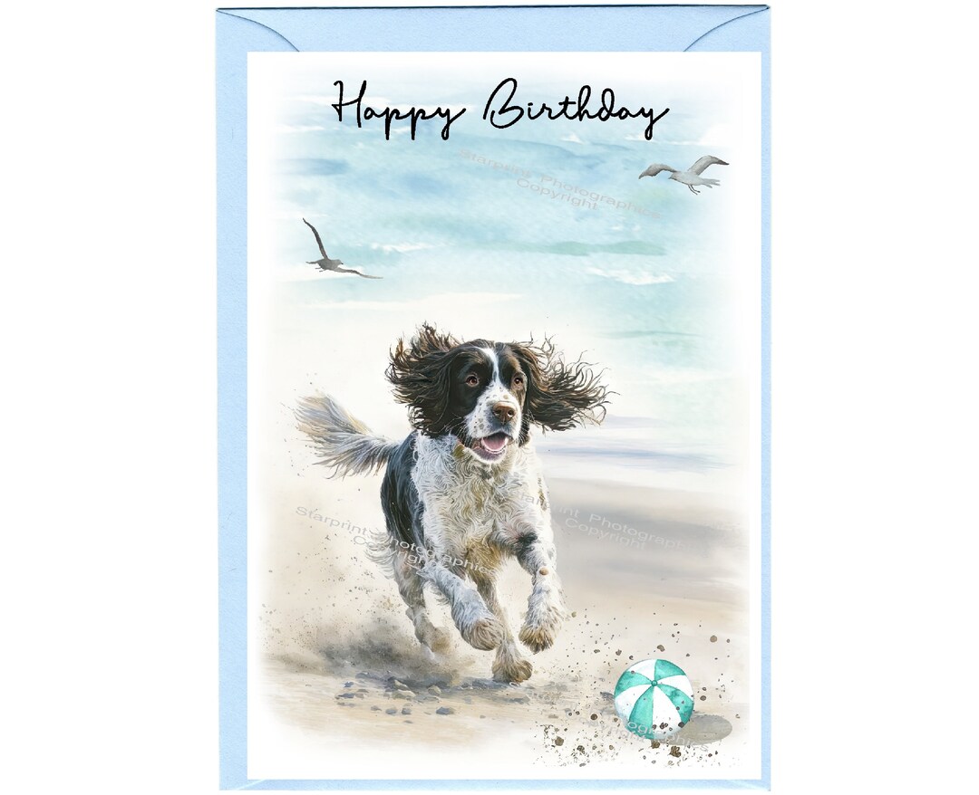 English Springer Spaniel Dog "happy Birthday" Card (6"x 4") With ...