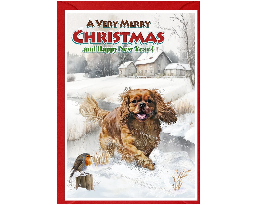 Cavalier King Charles Spaniel Ruby Dog Christmas Card (6" X 4") Blank ...