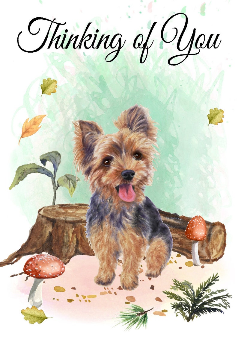 Personalised Yorkshire Terrier / Yorkie Dog Greetings Card /notelet (6 ...