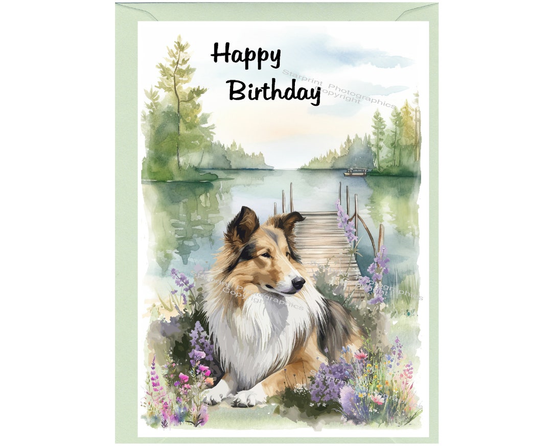 Rough Collie Dog "happy Birthday" Card (6"x 4") With Envelope. Blank ...