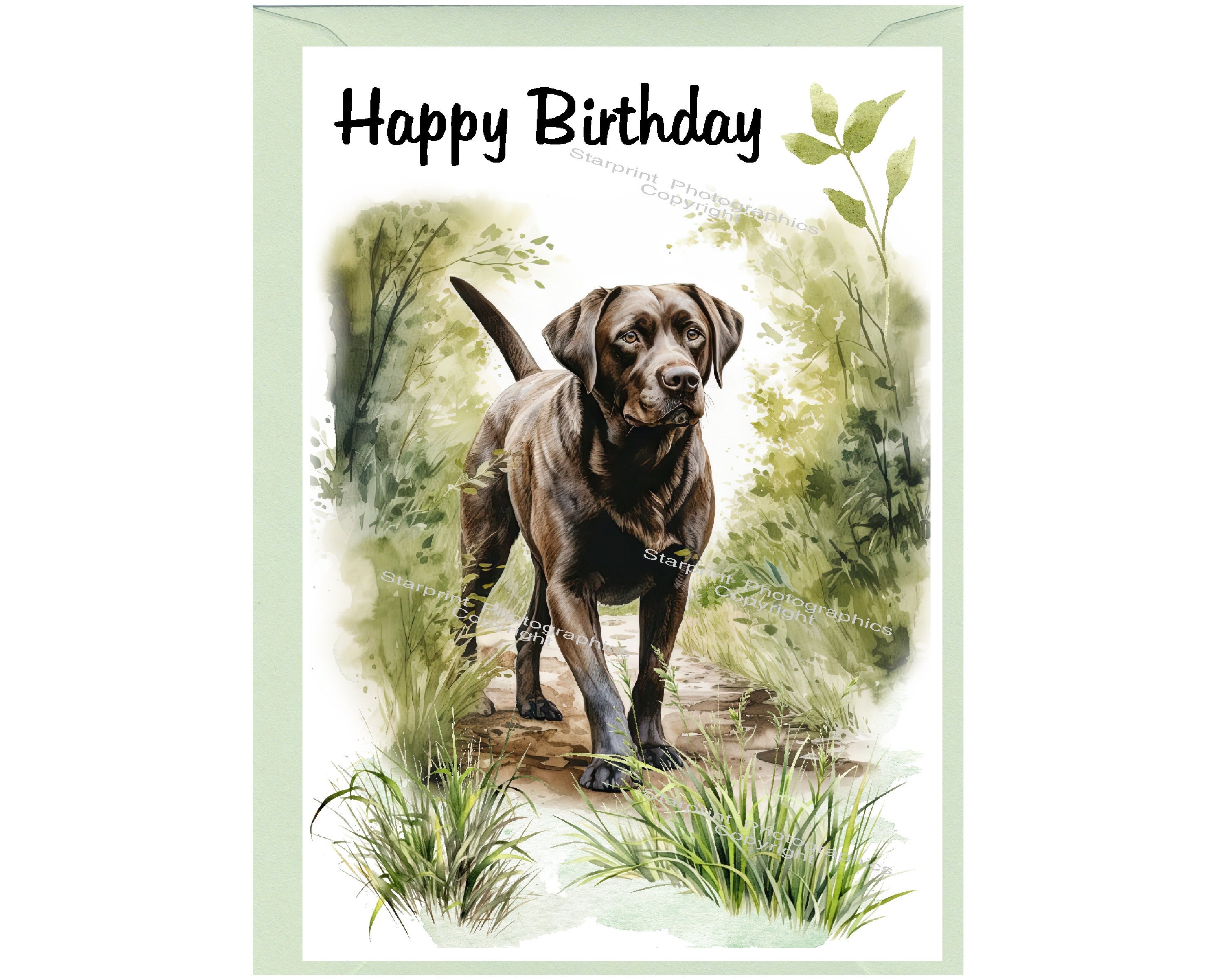 Happy Birthday Chocolate Labrador Retriever Chocolate Labrador Puppy