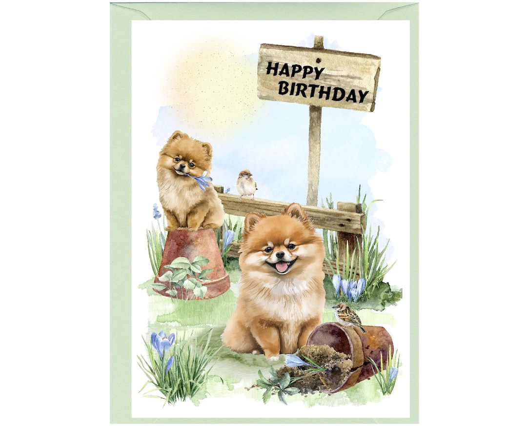 Pomeranian Dog "happy Birthday" Card (6"x 4") With Envelope. Blank ...