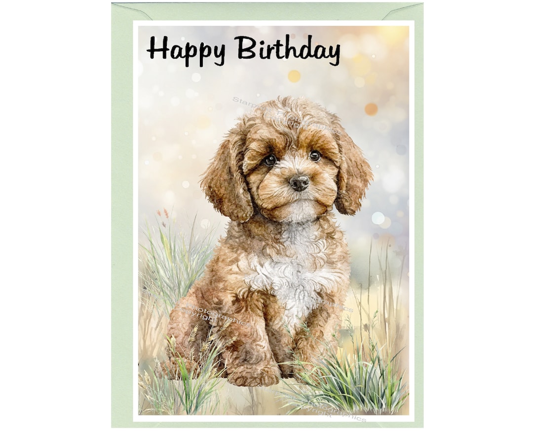 Cavapoo / Doodle Dog "happy Birthday" Card (6" X 4") With Envelope ...