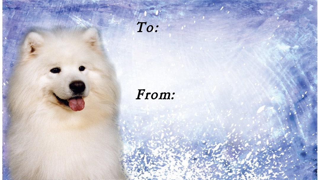 Samoyed Dog Gift Labels, Peel Off, Self Adhesive, 2 Sheets of 21 Labels ...