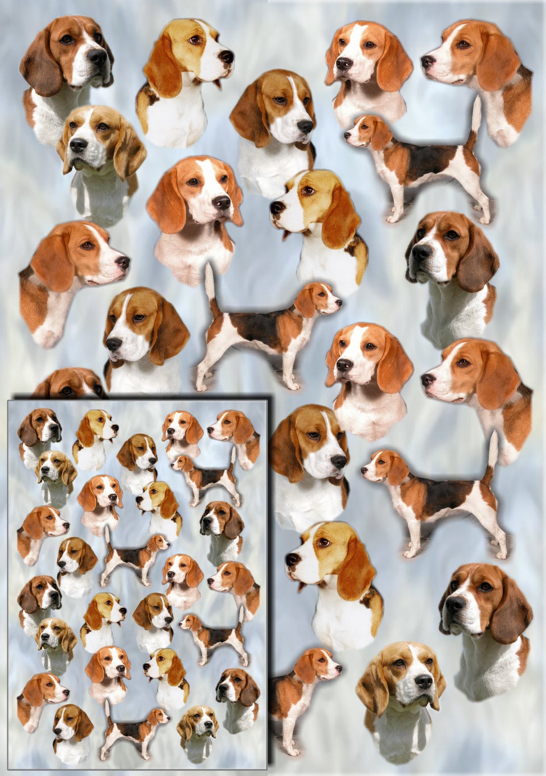 Beagle Dog Gift Wrapping Paper With Matching Gift Card - Etsy