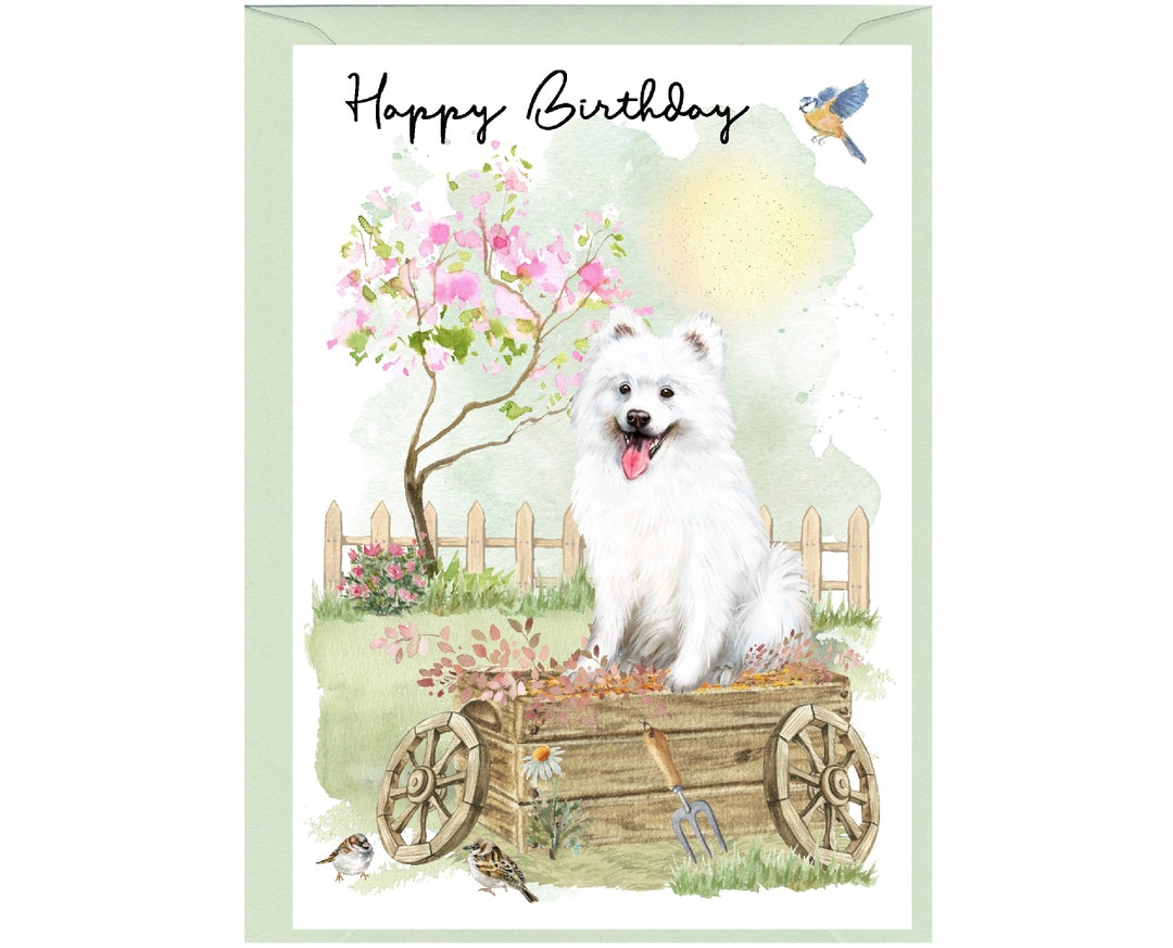 Samoyed Dog "happy Birthday" Card (6" X 4") With Envelope - Blank ...