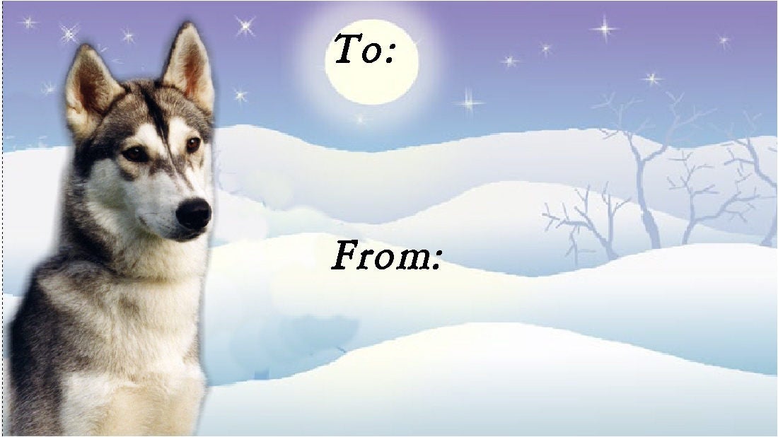 Siberian Husky Dog Christmas Gift Labels Peel off Self - Etsy UK