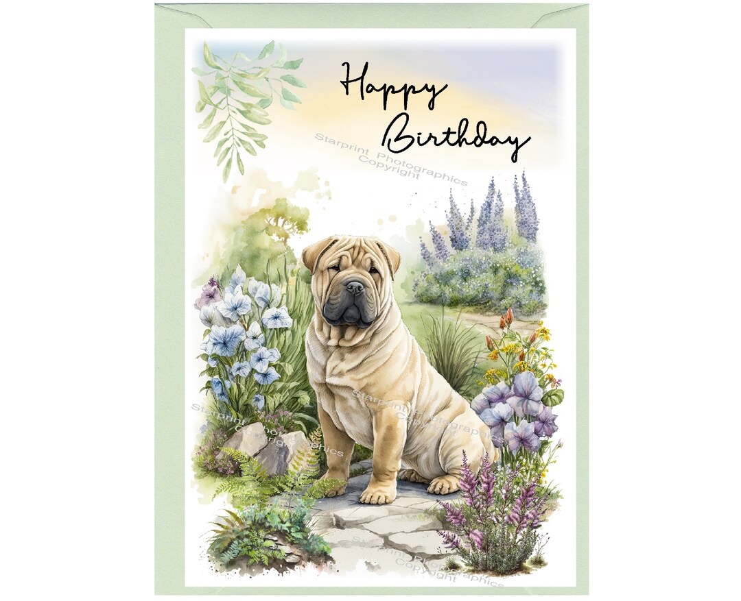 Shar Pei Dog "happy Birthday" Card (6"x 4") With Envelope. Blank Inside ...