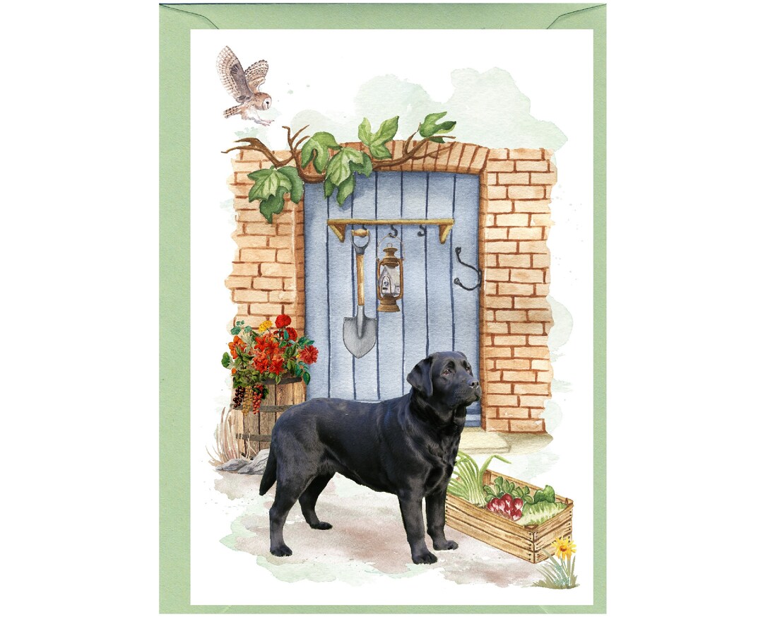 Personalised Black Labrador Retriever Dog Greetings Card /notelet (6" X ...