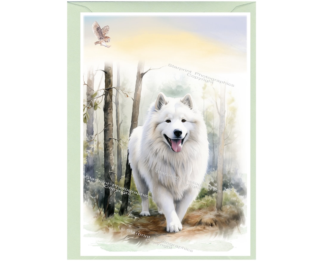 Personalised Samoyed Dog Greetings Card /notelet (6" X 4") With ...