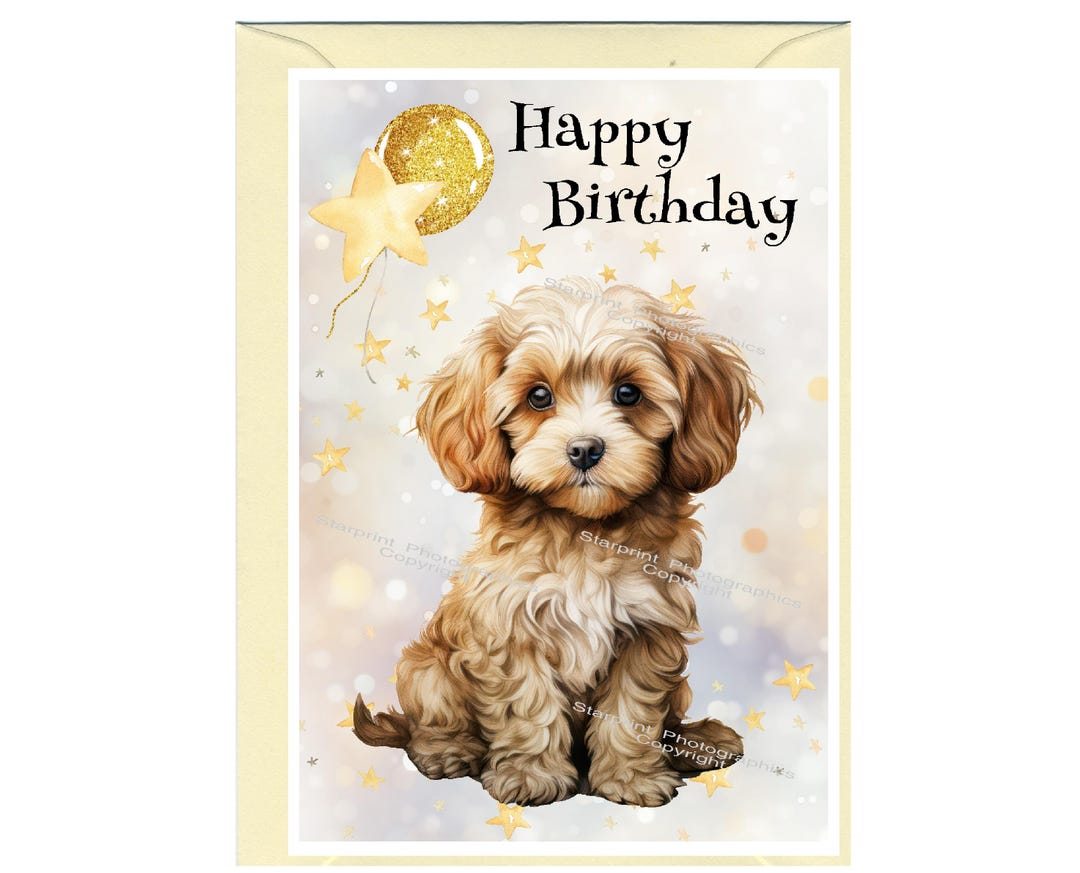 Cavapoo / Doodle Dog happy Birthday Card 6 X 4 With Envelope Blank ...