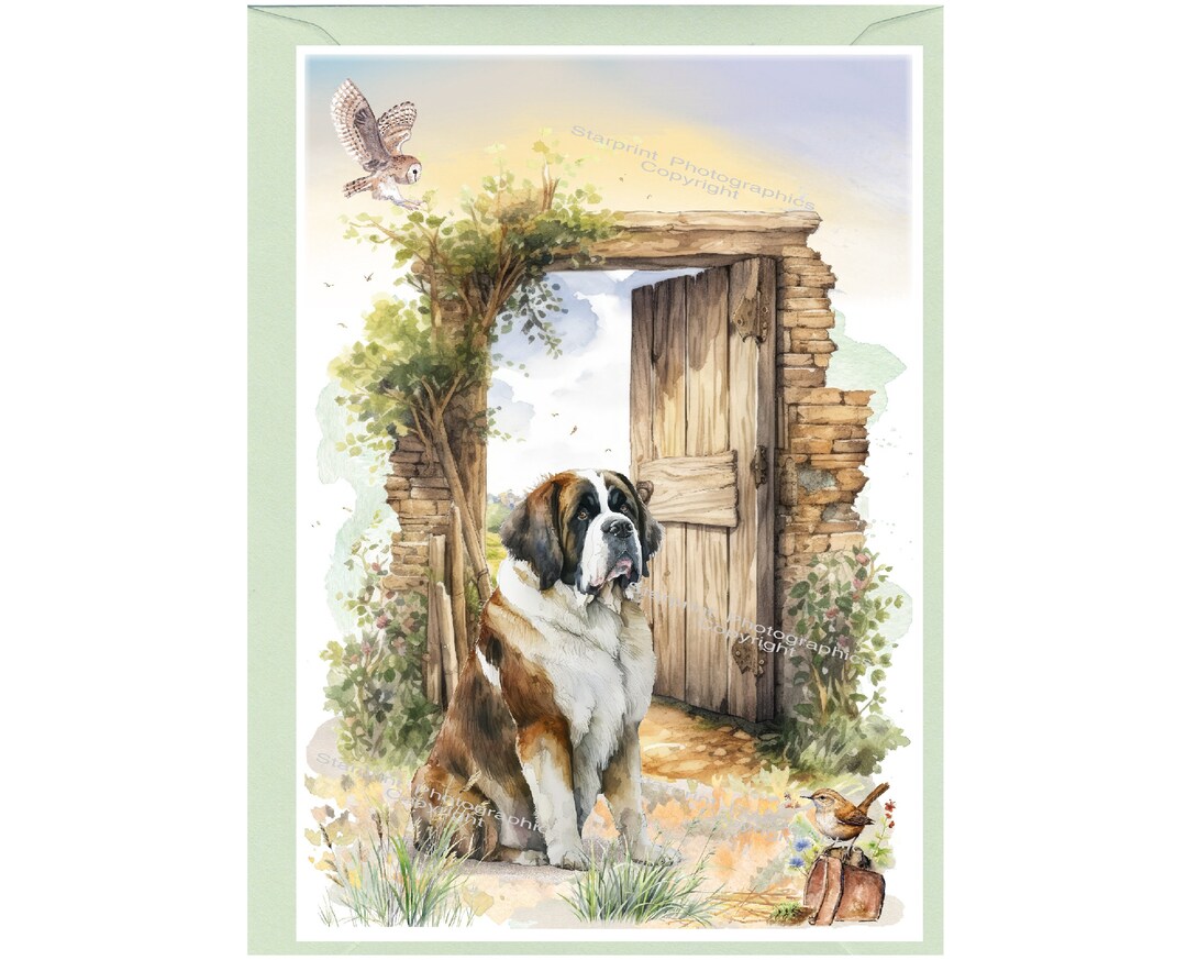 Personalised Saint Bernard Dog Greetings Card /notelet (6" X 4") With ...