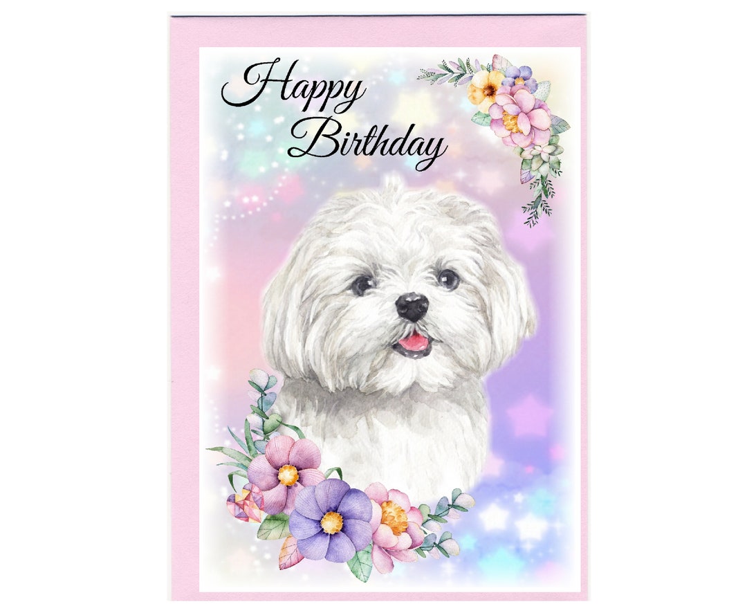 Maltese Dog "happy Birthday" Card (6"x 4") With Envelope. Blank Inside ...