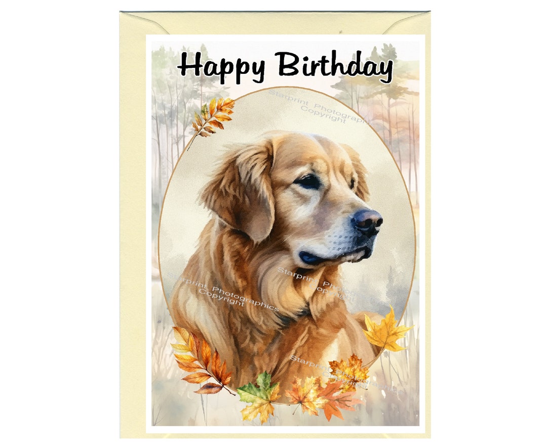 Golden Retriever Dog happy Birthday Card 6 X 4 With Envelope Blank ...
