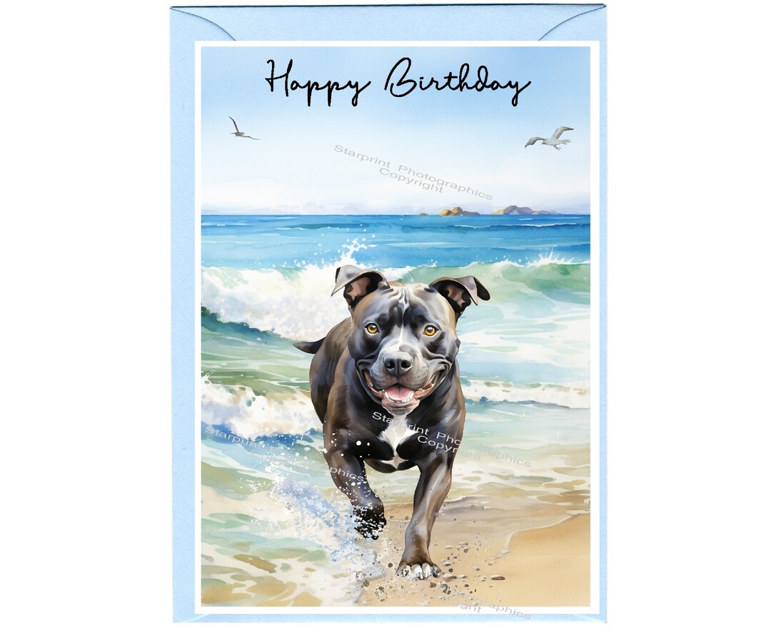 Staffordshire Bull Terrier Dog "happy Birthday" Card (6" X 4") With ...