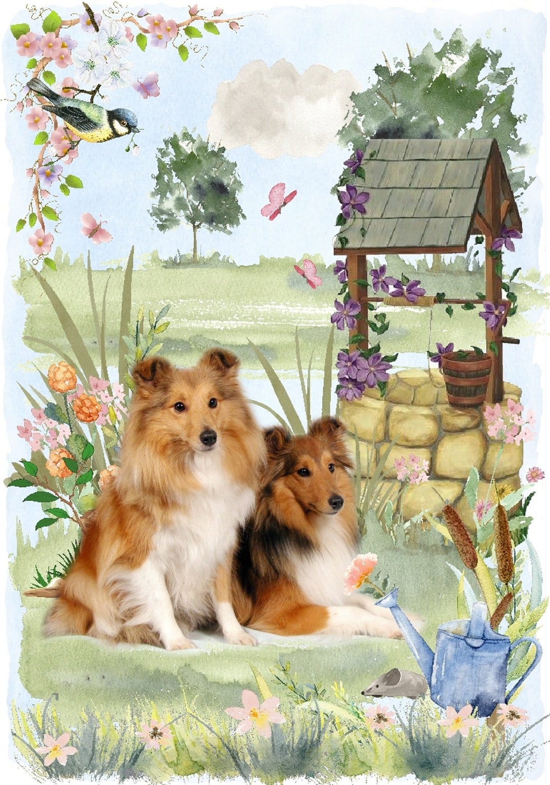 Shetland Sheepdog / Sheltie Dog Blank Card /notelet (6" X 4") With ...