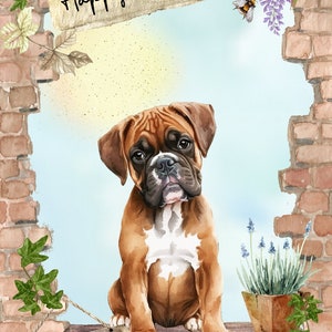 Boxer Dog happy Birthday Card 6 X 4 With Envelope Blank Inside for Your ...