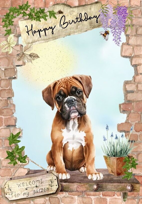 Happy Birthday Boxer Dogs