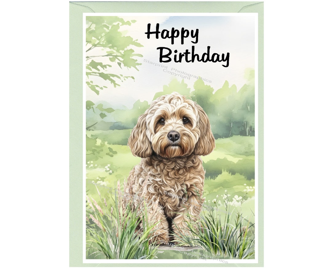 Cockapoo / Doodle Dog "happy Birthday" Card (6" X 4") With Envelope ...
