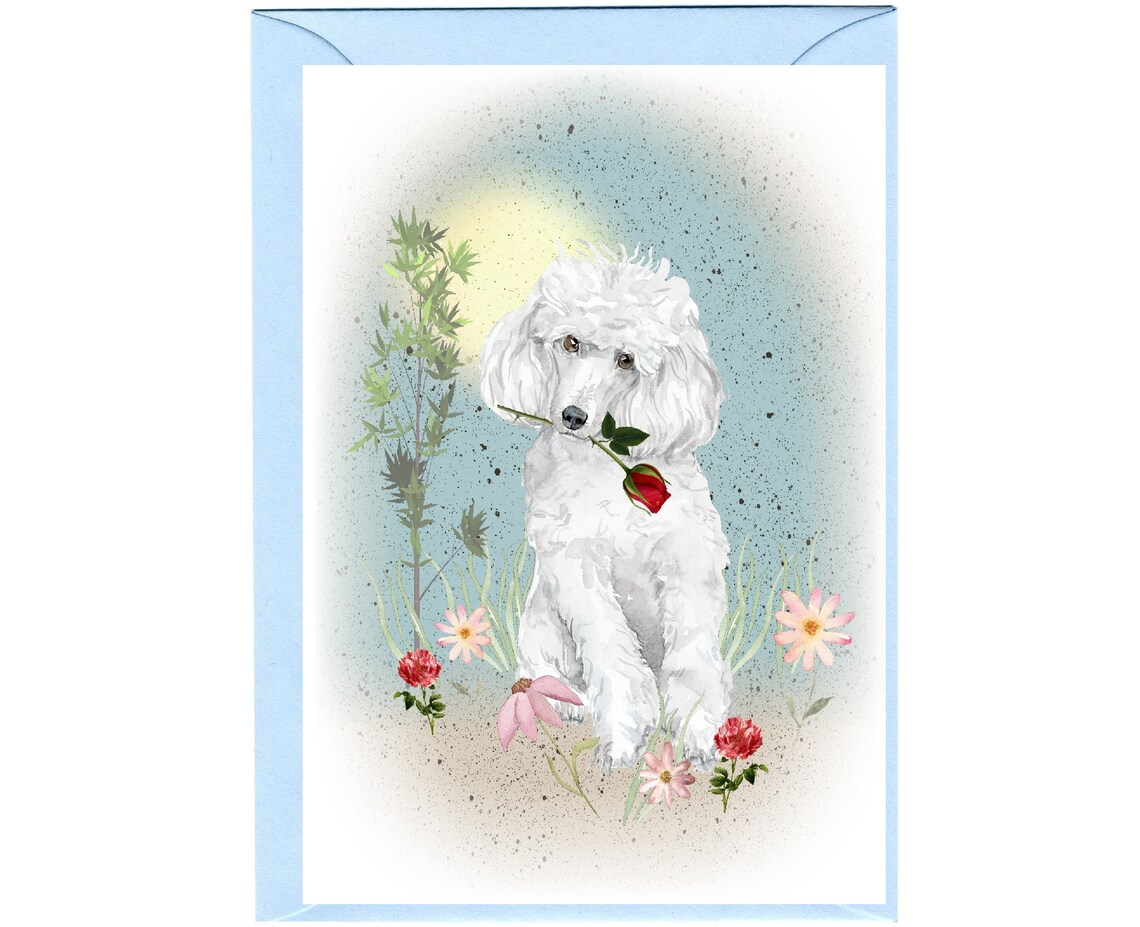 Poodle White Dog Blank Card /notelet 6 X 4 With | Etsy