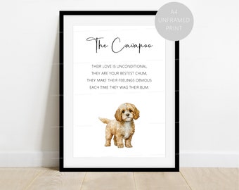 Cavoodle/ Cavapoo. Print Watercolour.cavapoo Art,cavapoo Print,cavapoo ...