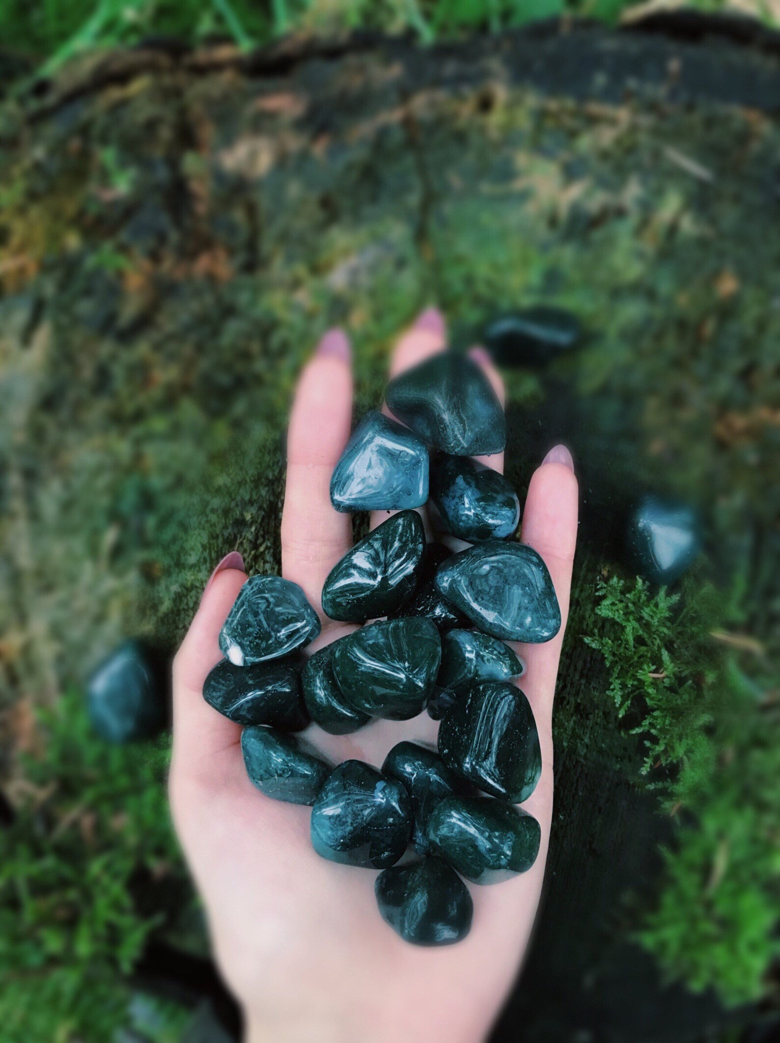 Indian Moss Agate Crystal Moss Agate Crystal Tumble Stones - Etsy