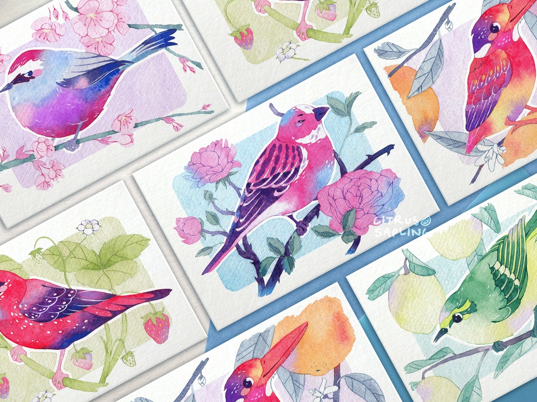 Exotic Garden Birds Postcards A6 Illustrated Small Art Prints Set ...