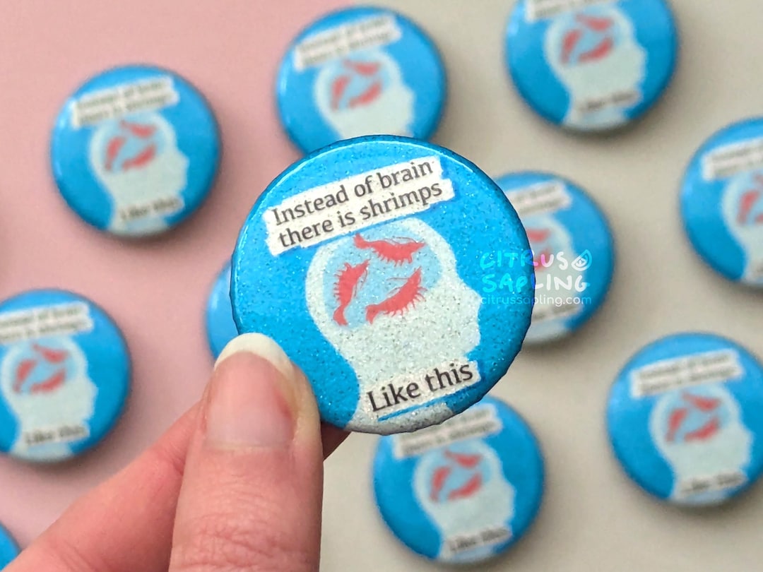 Instead of Brain There is Shrimps Badge Pin Back Button, Funny Shrimp ...