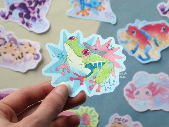 Red-eyed Tree Frog Sticker 3 Matte Waterproof Vinyl | Etsy