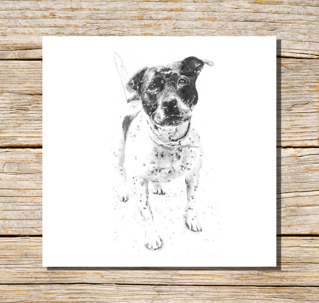 Staffy Card, Staff Puppy Greeting Card, Dog Card, Greetings Card, Blank ...