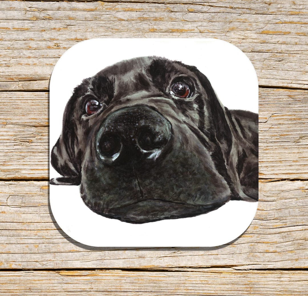 Dog Coaster, Labrador Coaster, Black Labrador, Dogs, Animals ...
