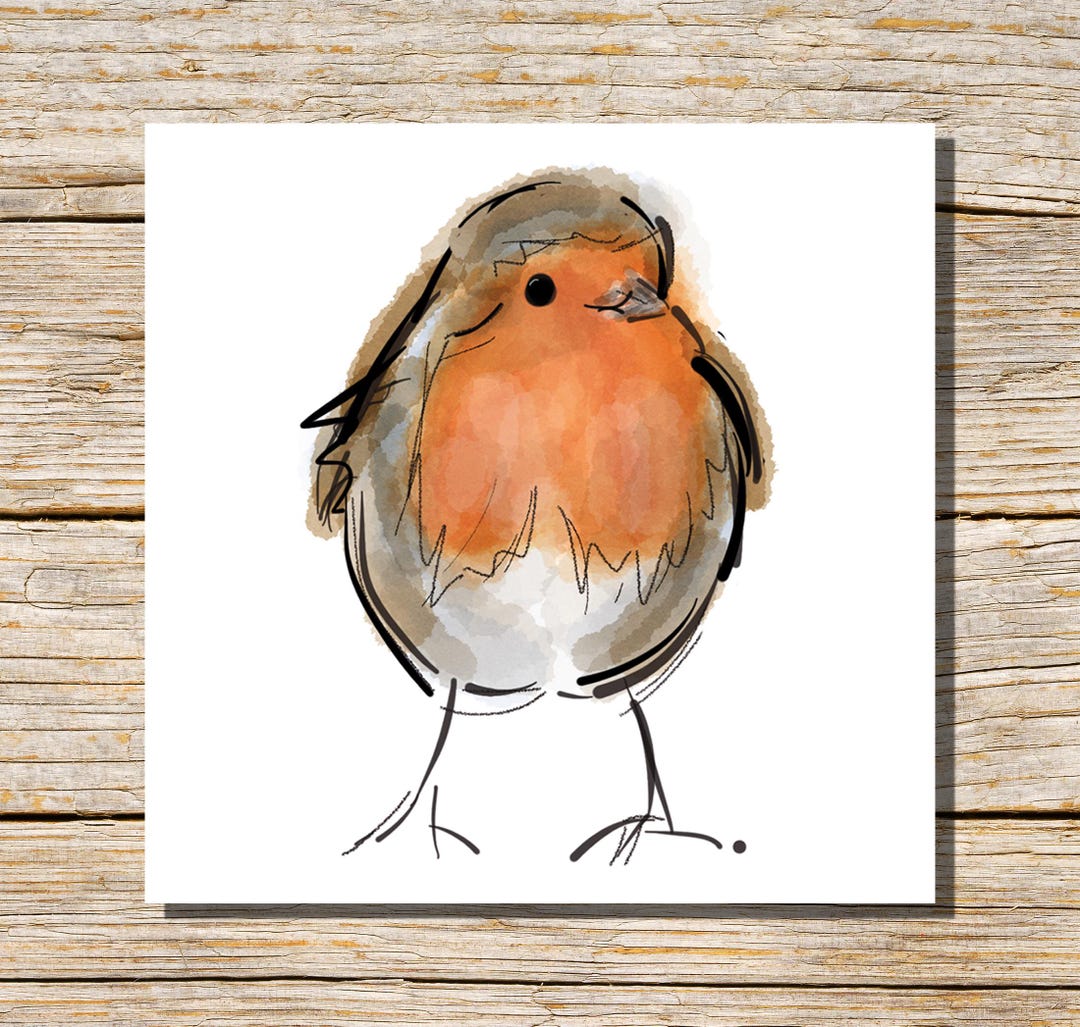 Bird Greeting Card, Robin Card, Greetings Card, Blank Inside, Robin ...