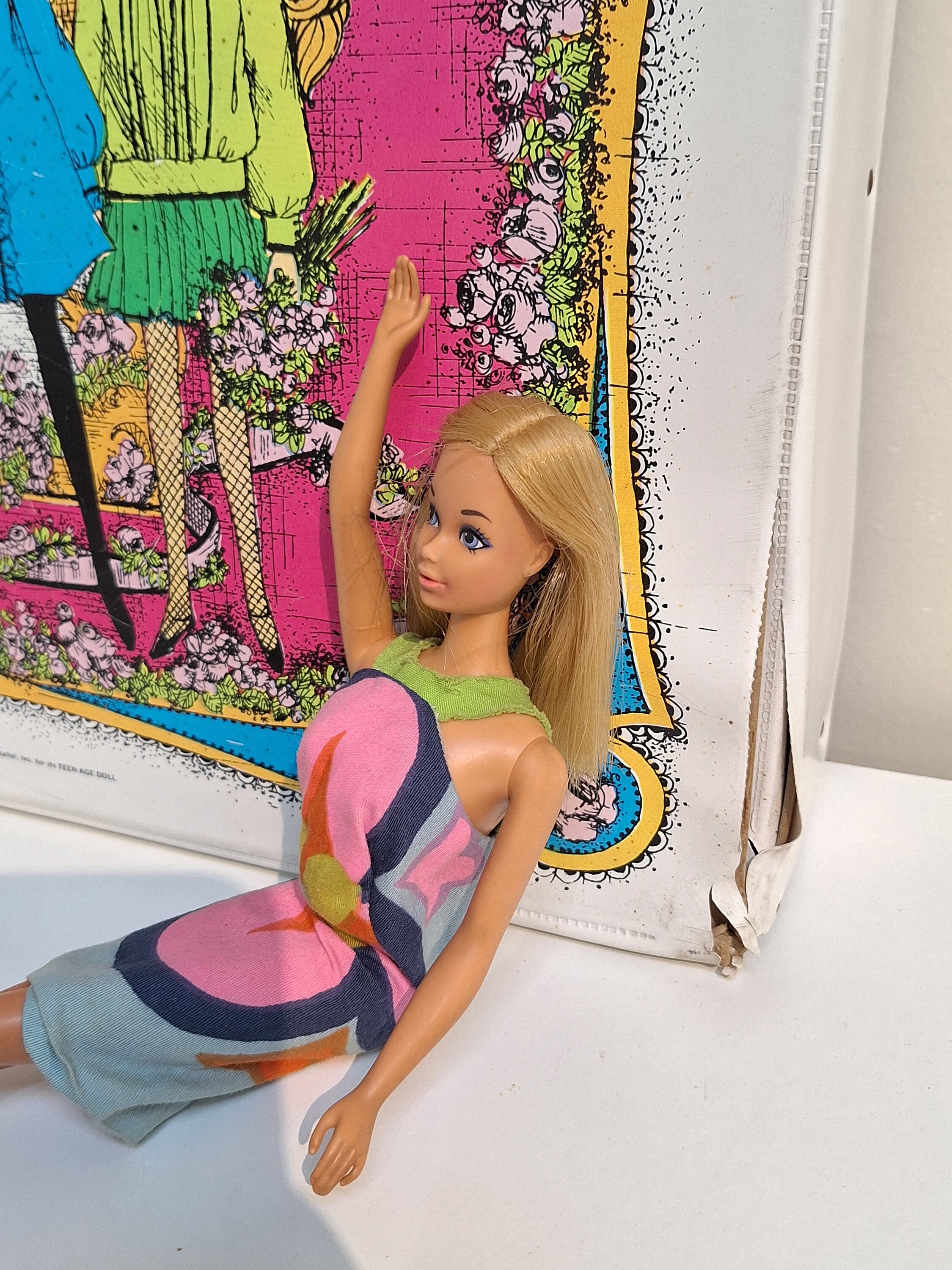 Vintage 1968 the World of Barbie Double Doll Case With Barbie ...