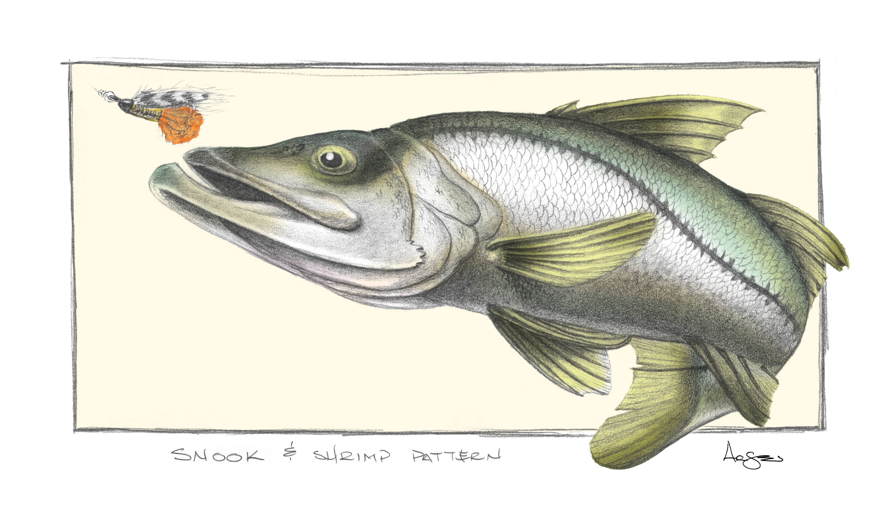 Snook & Shrimp Pattern - Etsy