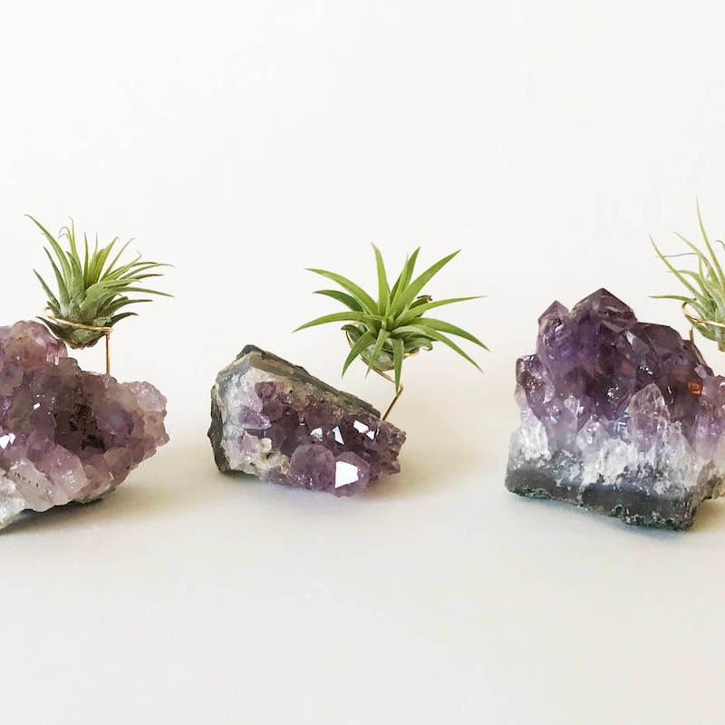 Miniature Plant Crystal - Etsy