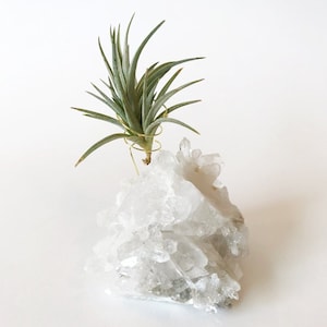 Clear Quartz Crystal Air Plant Holder: Minimalist Desk Decor - Etsy