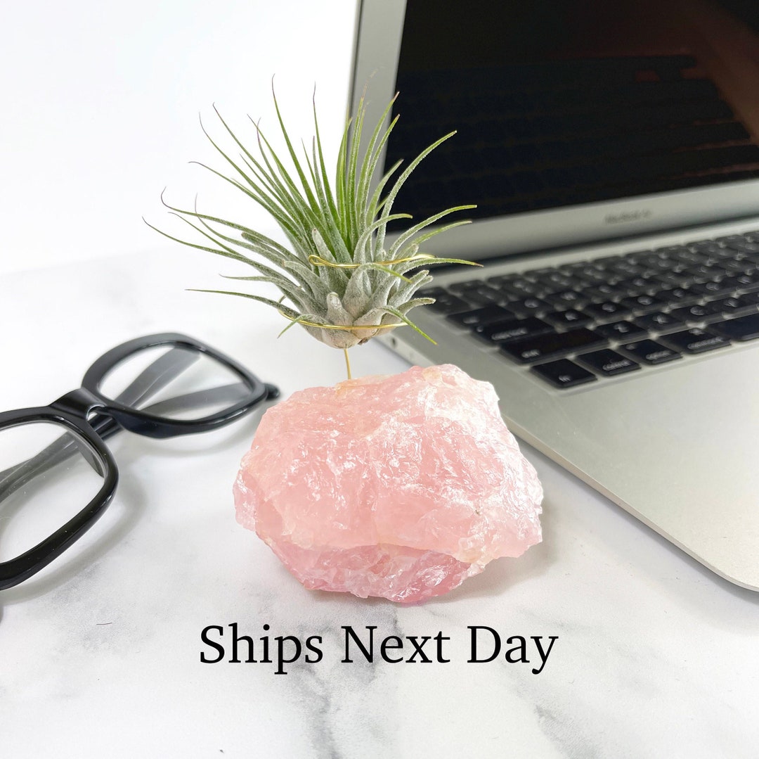 Rose Quartz Crystal Air Plant Stand: Office Planter Desk Decor - Etsy