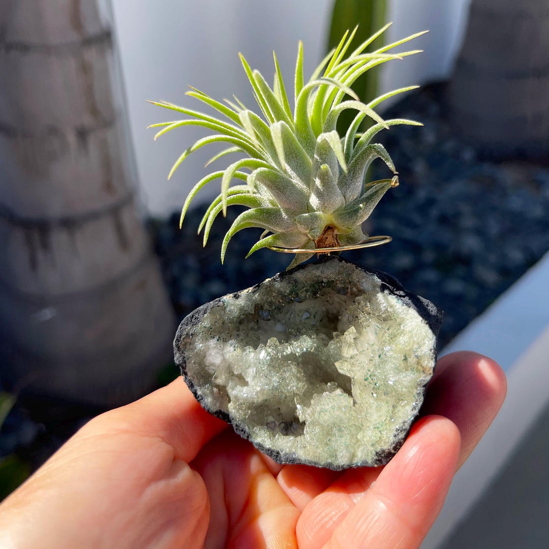 Green Geode Crystal Air Plant Holder – Plant Lover Gift - Etsy