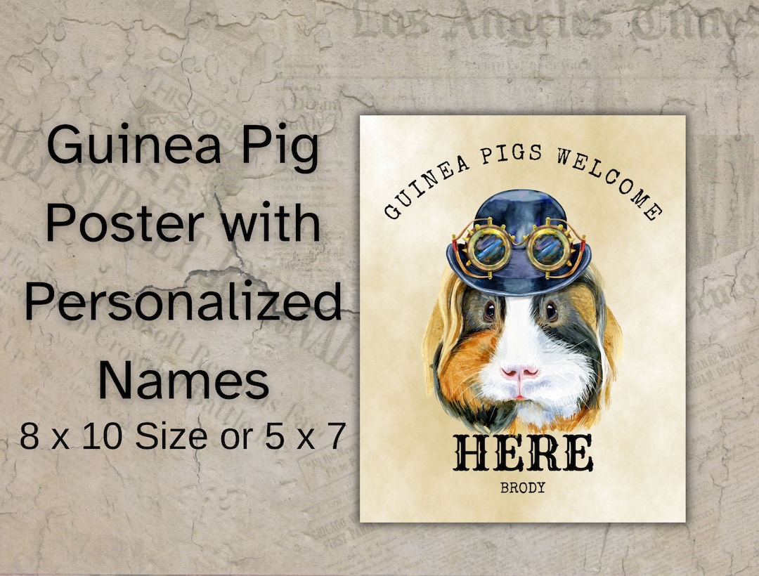 Steampunk Guinea Pig Art Poster Personalized, Guinea Pig Name Poster ...
