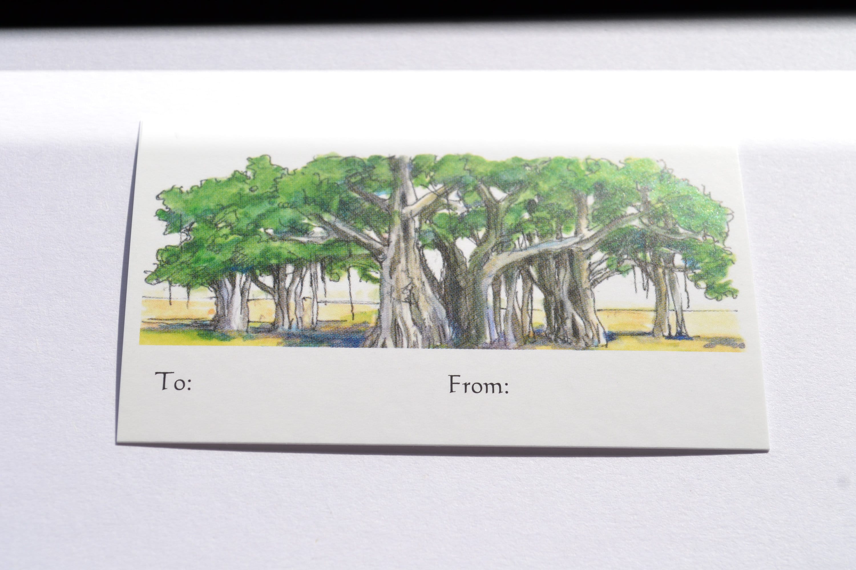 Hawaiian Gift Tags, Banyan Tree Gift Tags, Gift Tags, Watercolor Tags ...