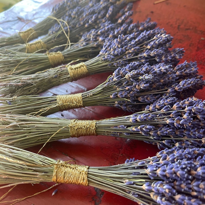 Lavender Bunch - Etsy