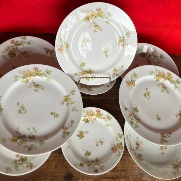 Haviland China - Etsy